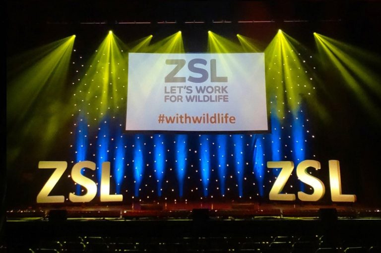 Stage Letters | Conference Exhibitions | Large Stage Letters